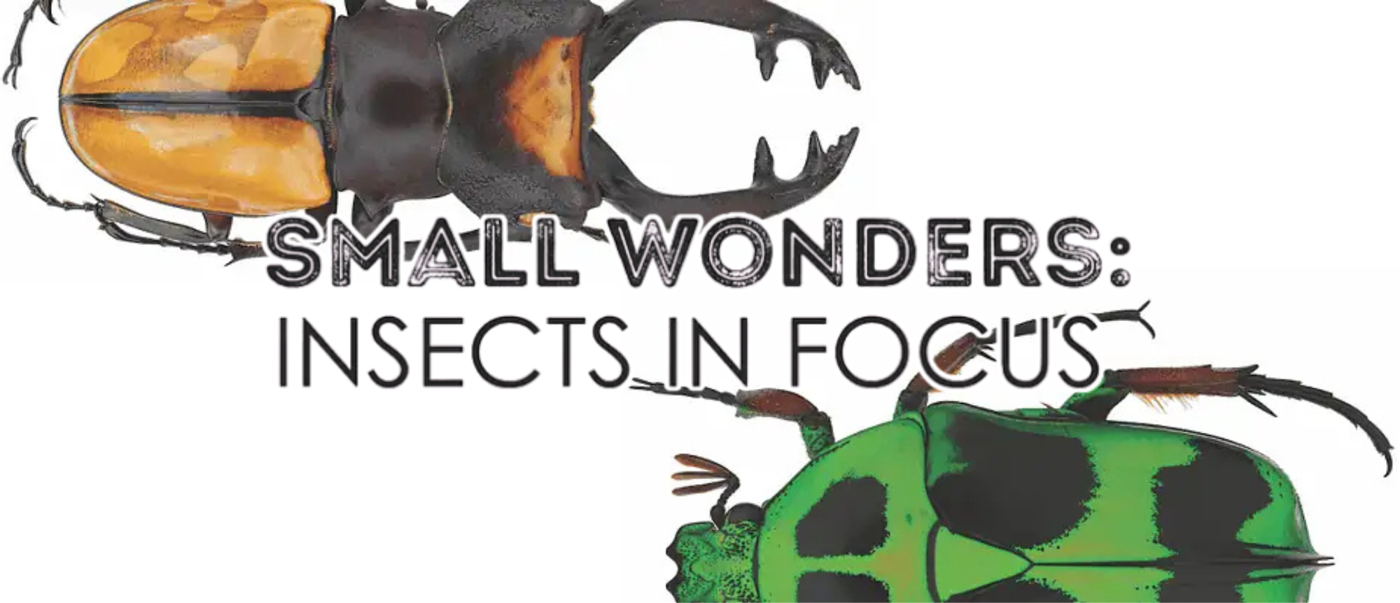 Events for January 2026 – Downtown OKC